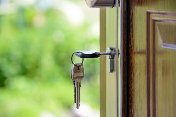 The Essential Guide to Lock Pins for Security Enthusiasts